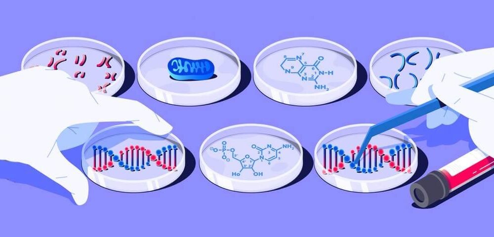 How Is DNA Testing Done Near Me? - Lemony Blog