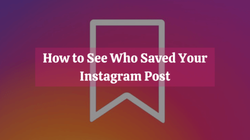 How to See Who Saved Your Instagram Posts - Lemony Blog