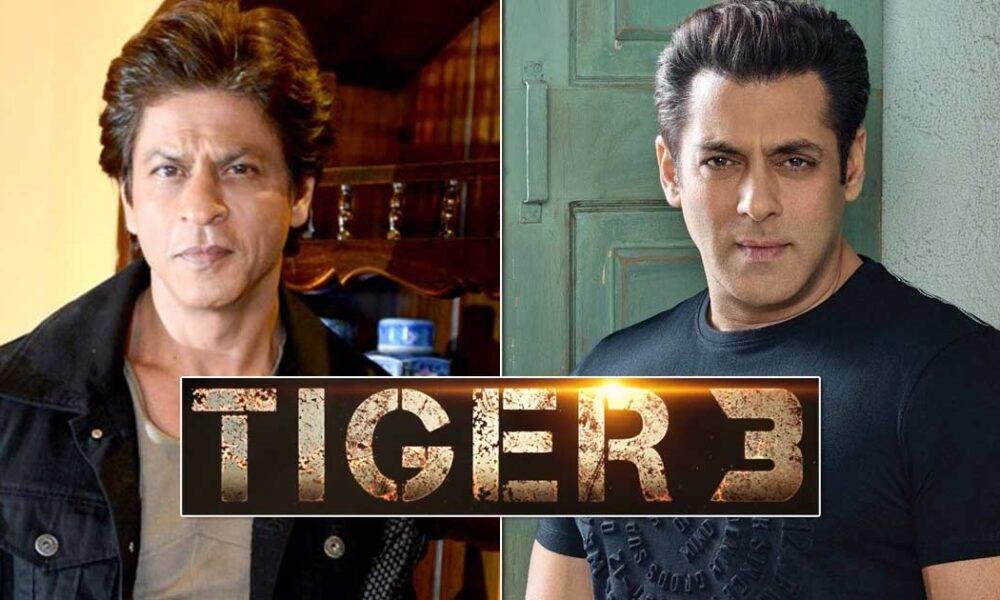 Tiger 3 – Salman Khan and Shah Rukh Khan's Upcoming Movie